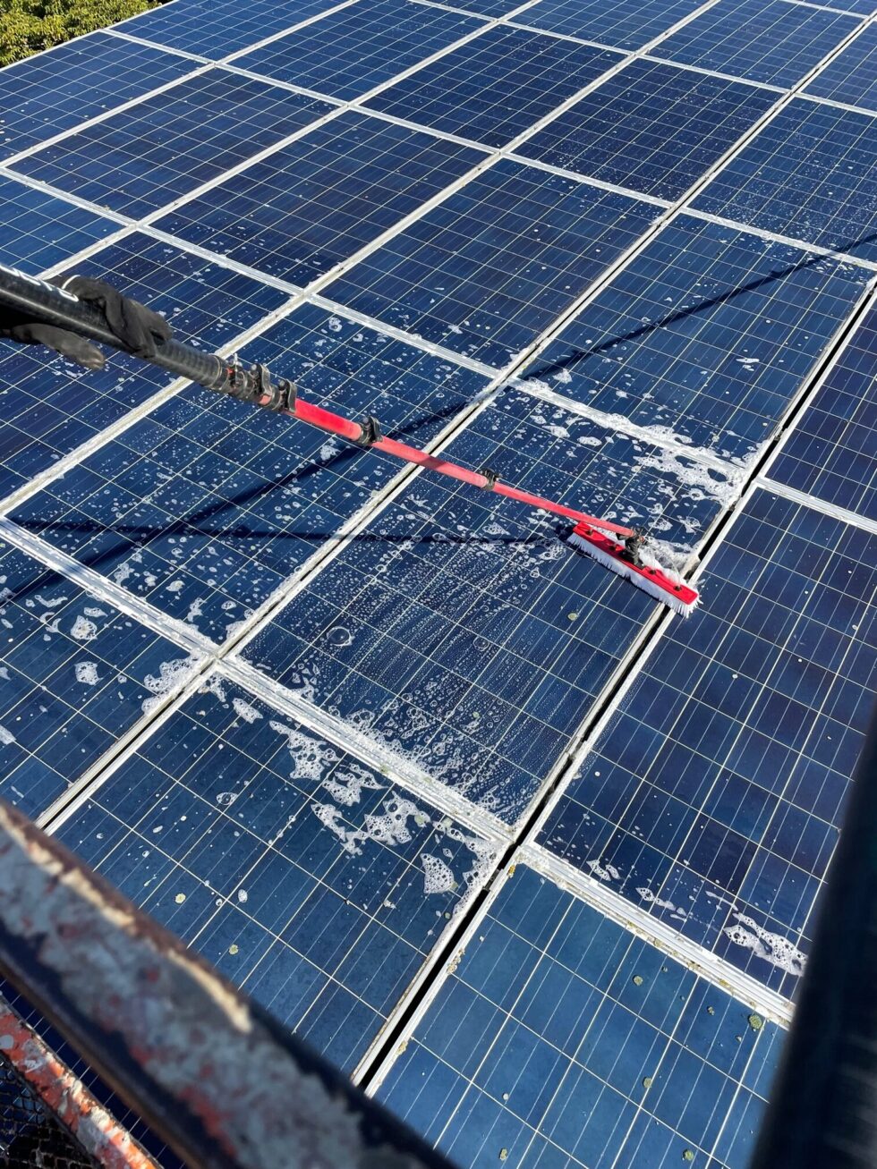 Solar Panel Efficiency - Why Solar Panel Cleaning Is Important - CSSA